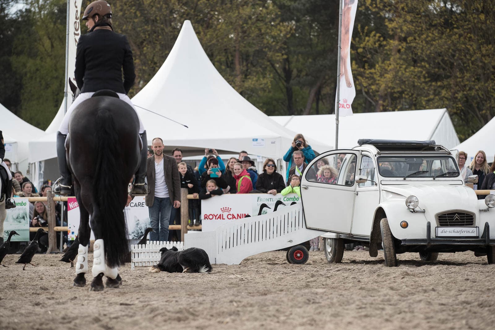 Animal Event - Dutch Pet Conference & Awards